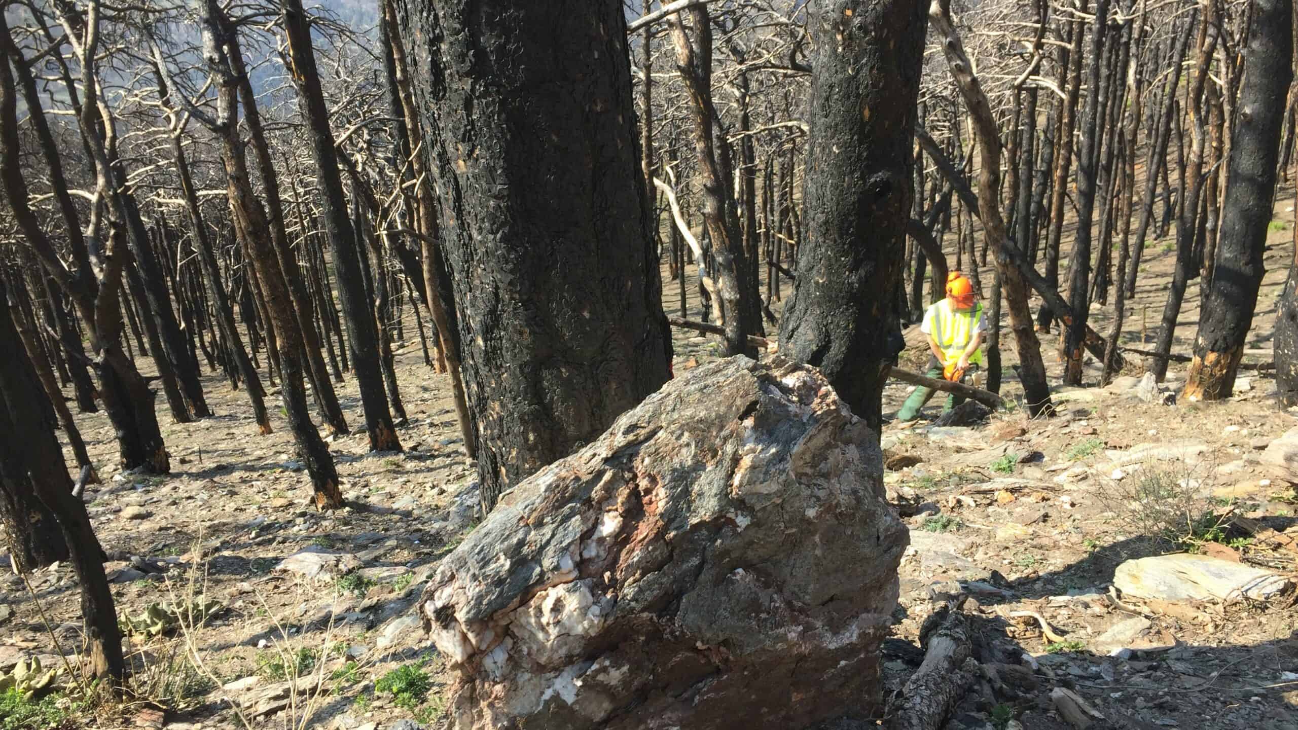 MOSAIC - Alpine Space Programme