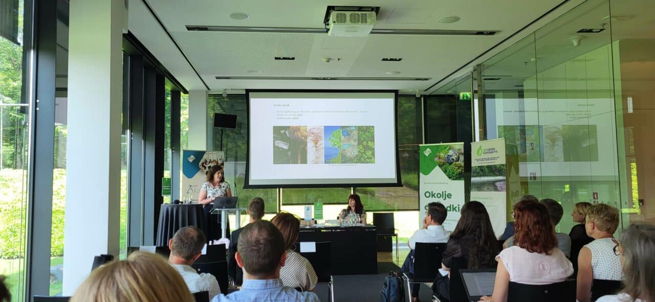 Potential of Biochar - Alpine Space Programme